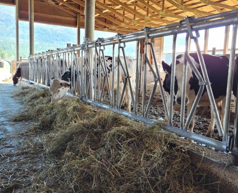 20 Simple farm tools for Livestock production and uses